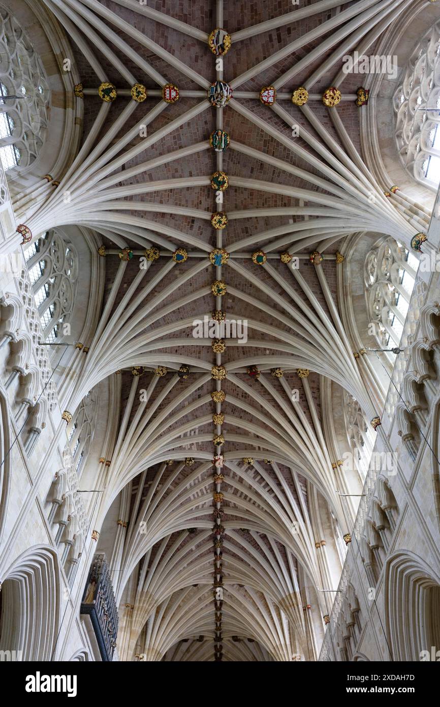 Interior view, ceiling, Exeter Cathedral, Exeter, England, Great ...