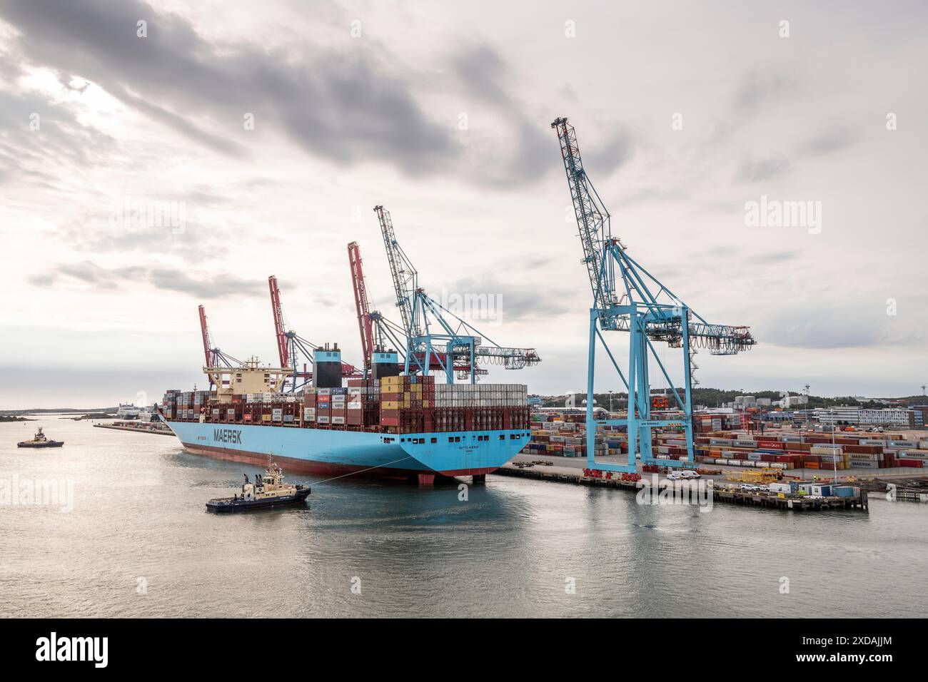 Container ship Mette Maersk, Maersk Line, loading cranes, harbour ...