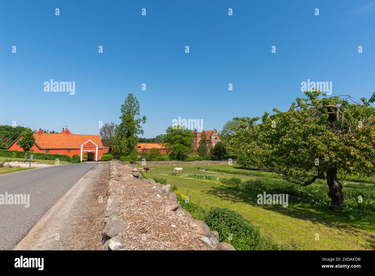Late Gothic manor house Hesselagergaard, street, fruit trees, farm ...