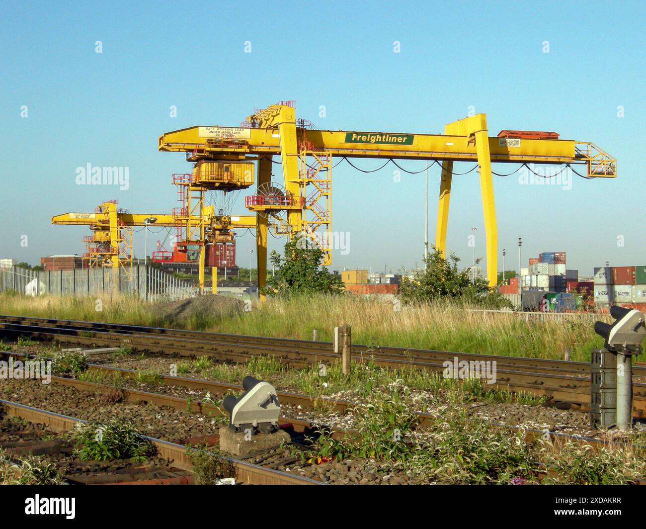 Container crane at a terminal Stock Photo - Alamy