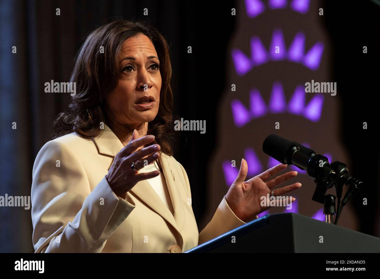 Vice President Kamala Harris speaks during the Unite Here Convention on ...