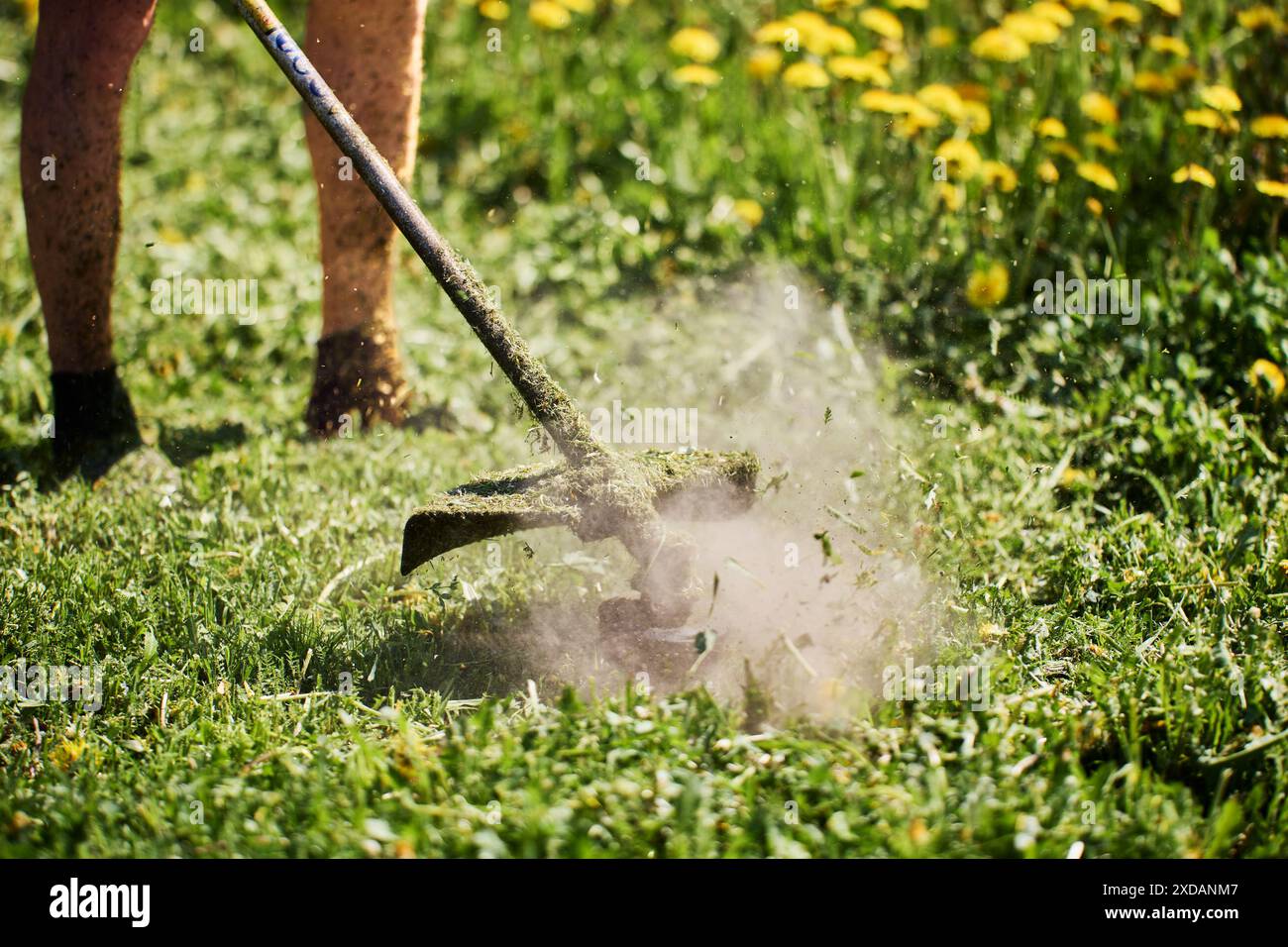 Molehill in front of string weed trimmer creates dust cloud upon ...