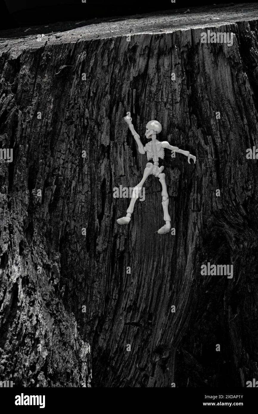 Mountain climbing Skeleton,almost to the top. In black and white Stock ...