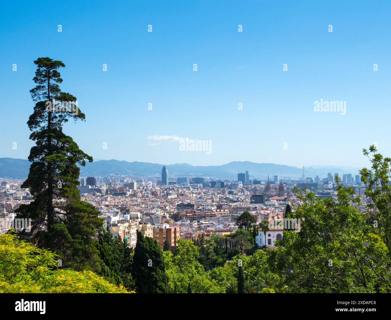 Barcelona cityscape seen from Montjuic Stock Photo - Alamy
