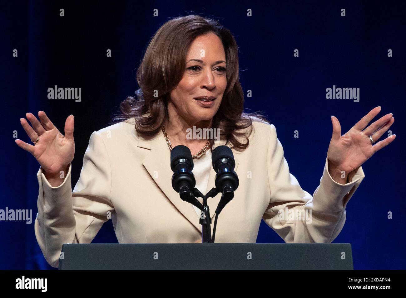 Vice President Kamala Harris speaks during the Unite Here Convention on ...