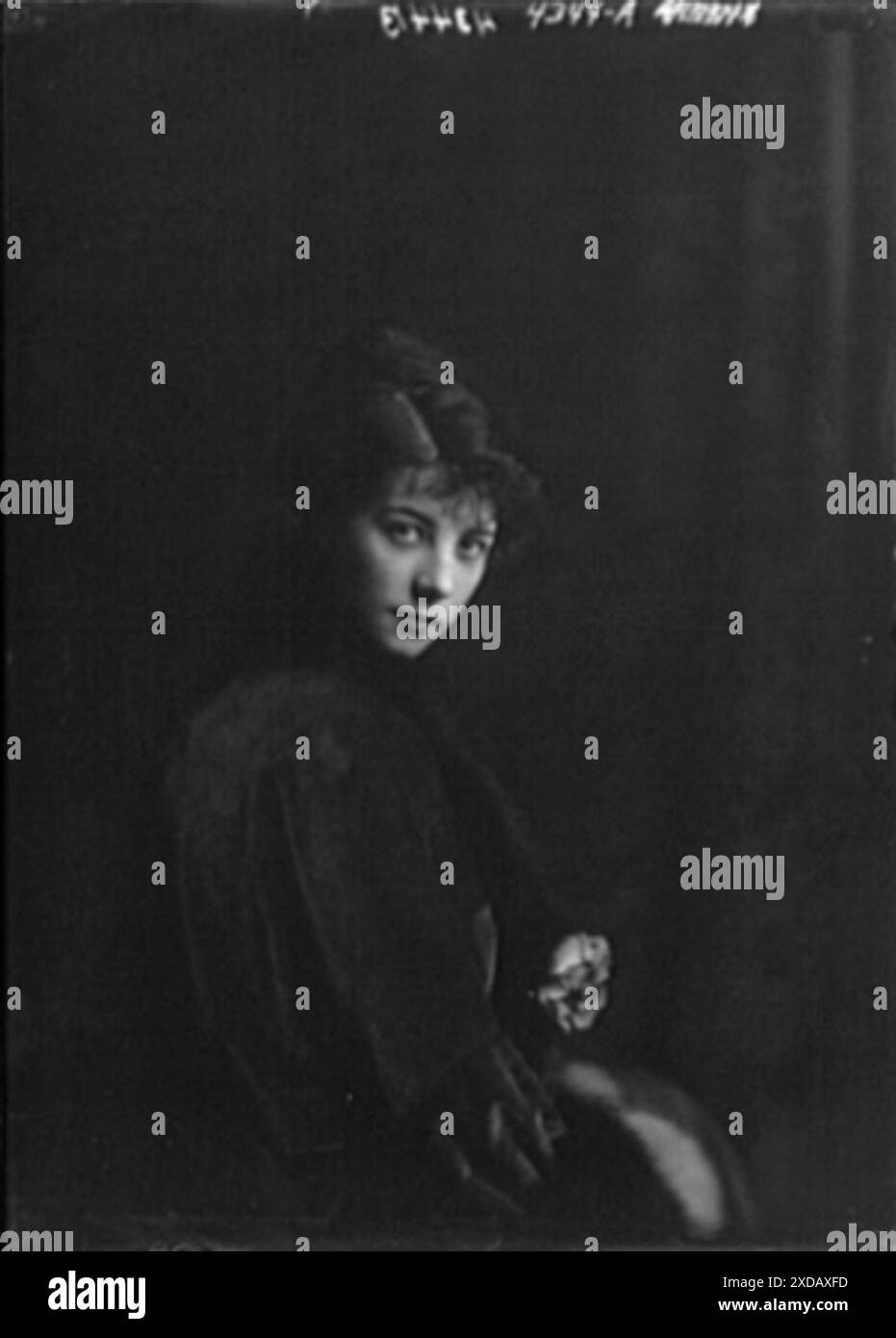 Gregg, Enid, Miss, portrait photograph. Genthe photograph collection ...