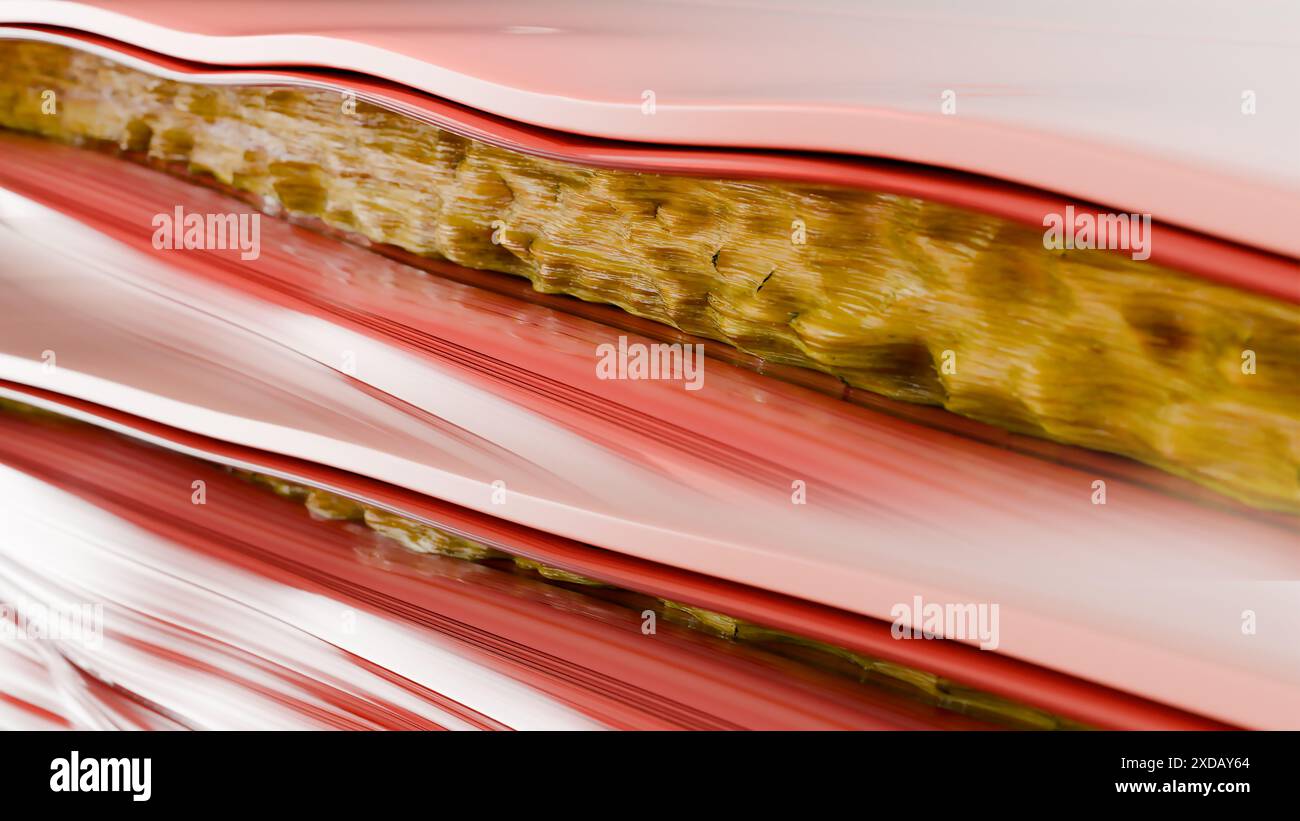 Weight loss Comparison. man body transformation. Before and after a ...