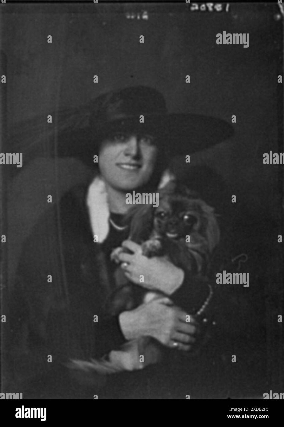 Angelo, Josephine, Miss, with dog, portrait photograph. Genthe ...