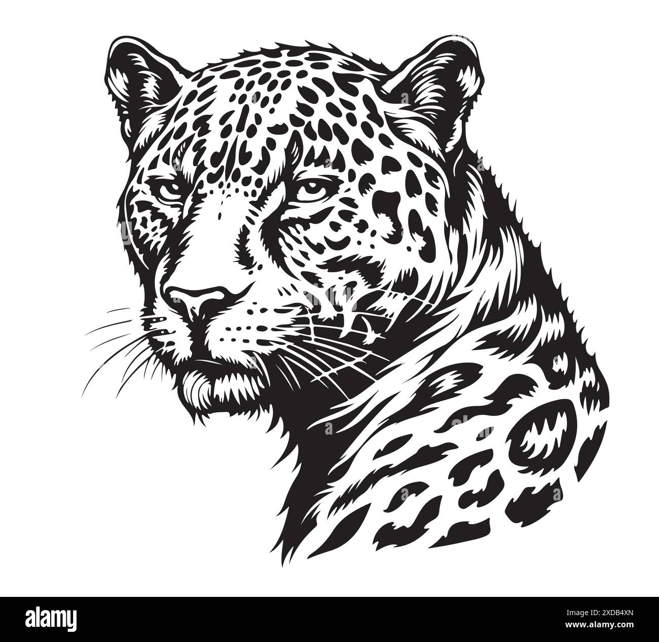 Leopard head. Black and white graphic. Vector illustration on white ...