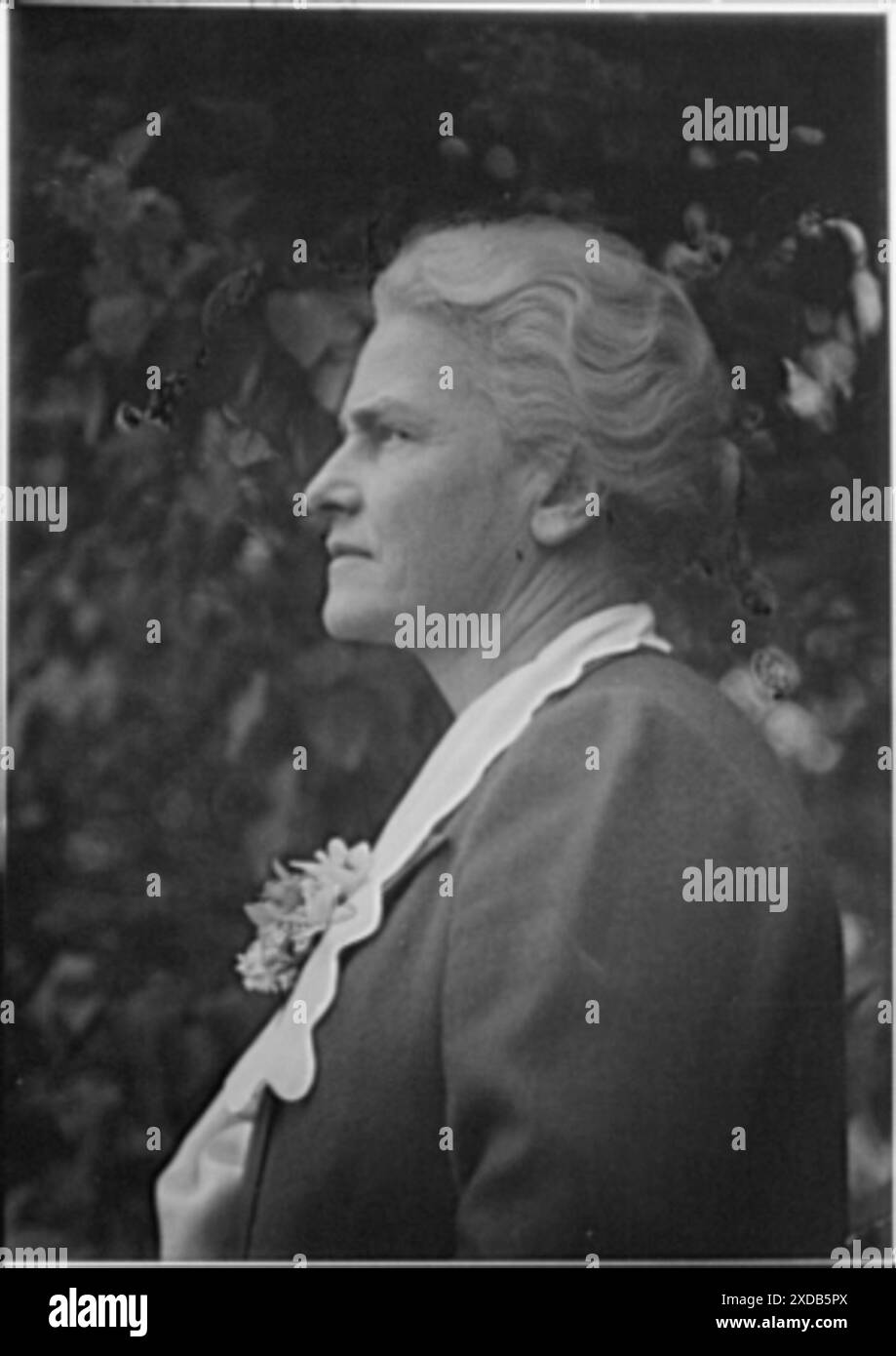 Charlotte noland hi-res stock photography and images - Alamy
