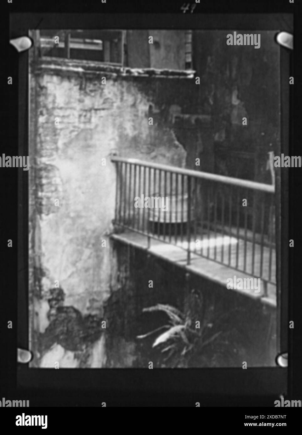 Feature ray Black and White Stock Photos & Images - Alamy