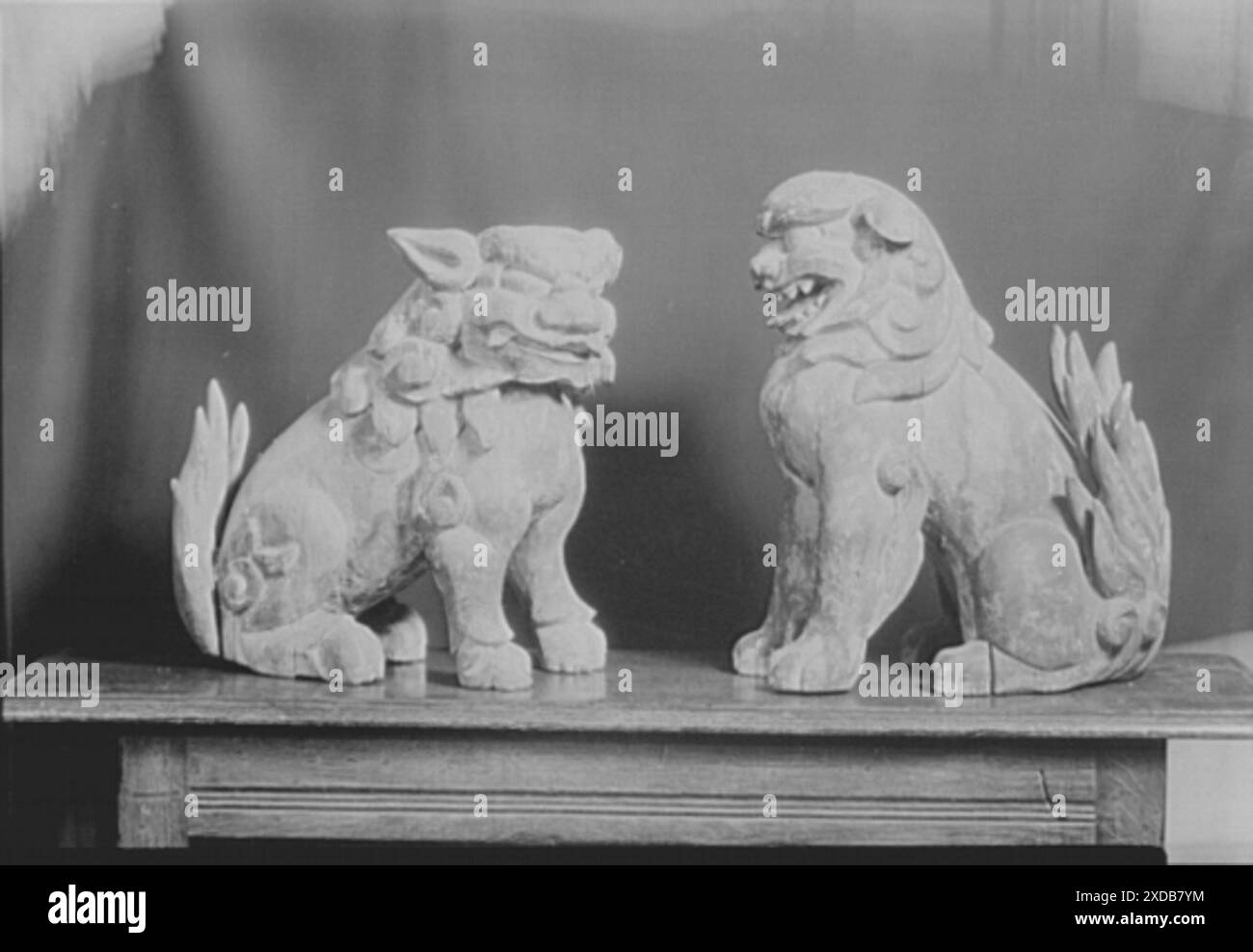 Chinese temple dogs belonging to Dr. Charles Seymour. Genthe photograph ...
