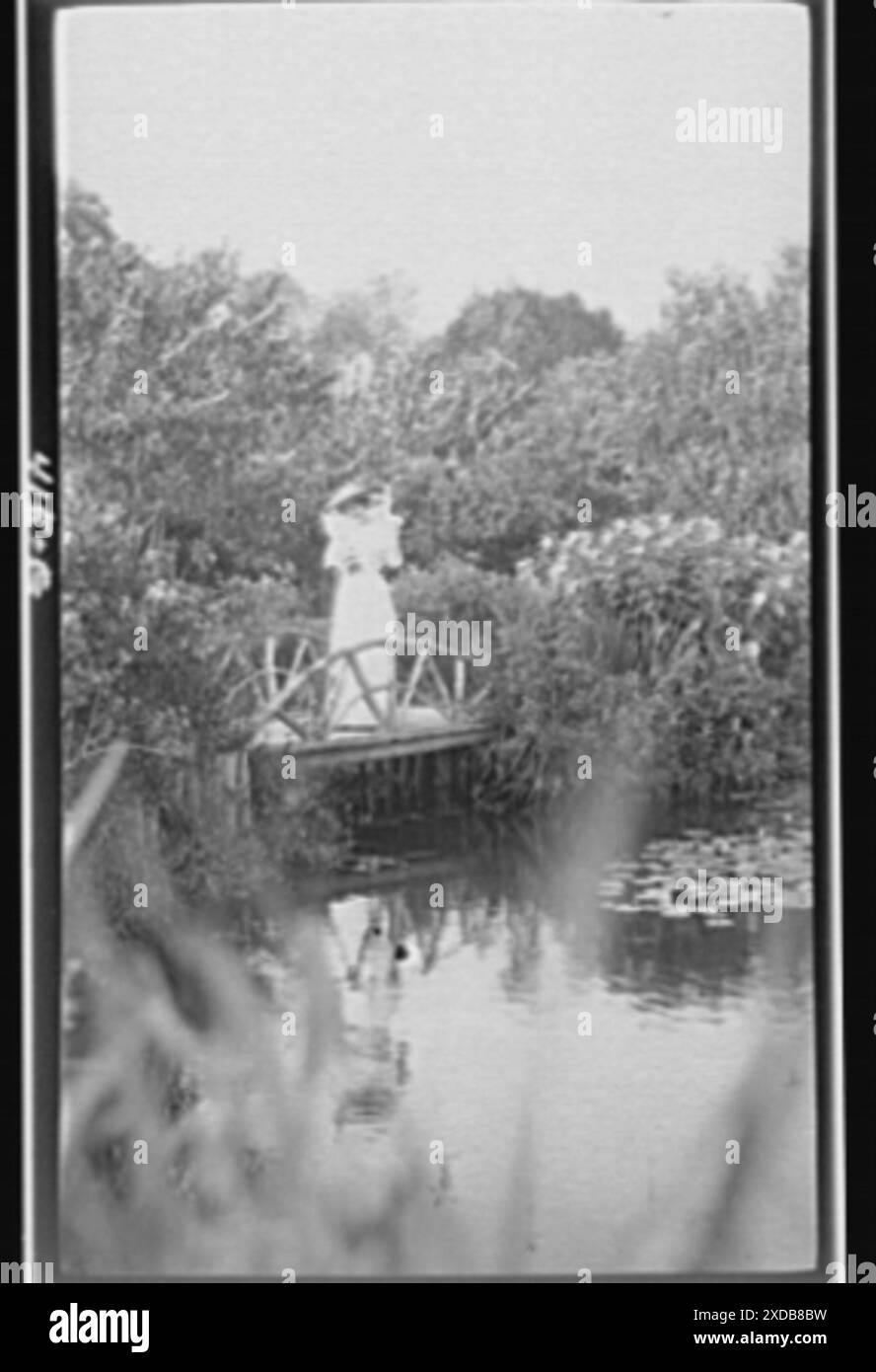 Jordan, Miss, in Bush's garden. Genthe photograph collection Stock ...