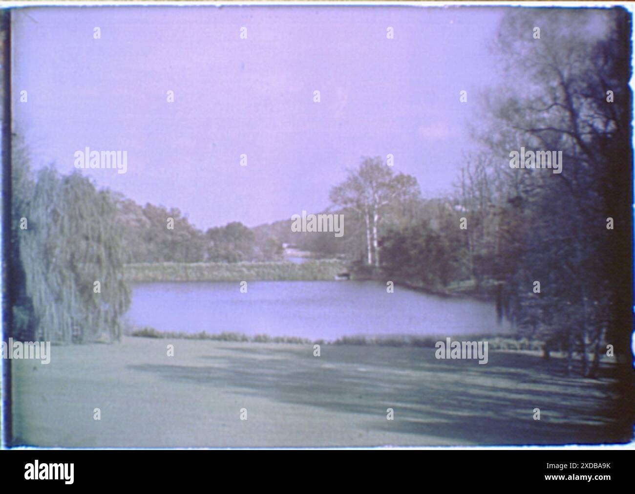 Grounds of the Myron C. Taylor property, Locust Valley, Long Island ...