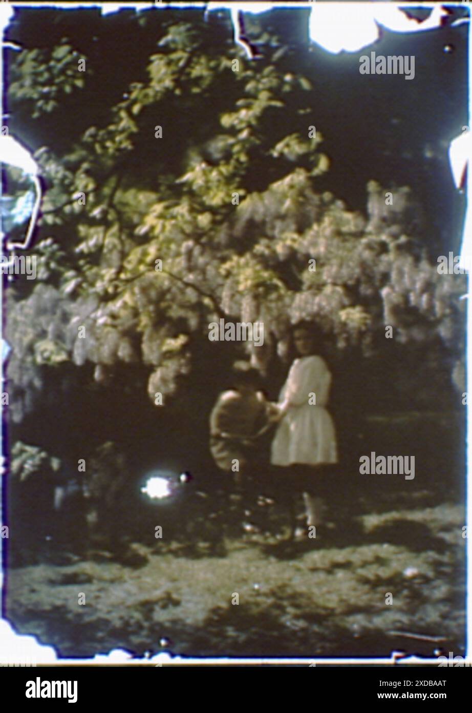 Two children standing under a flowering tree. Genthe photograph ...