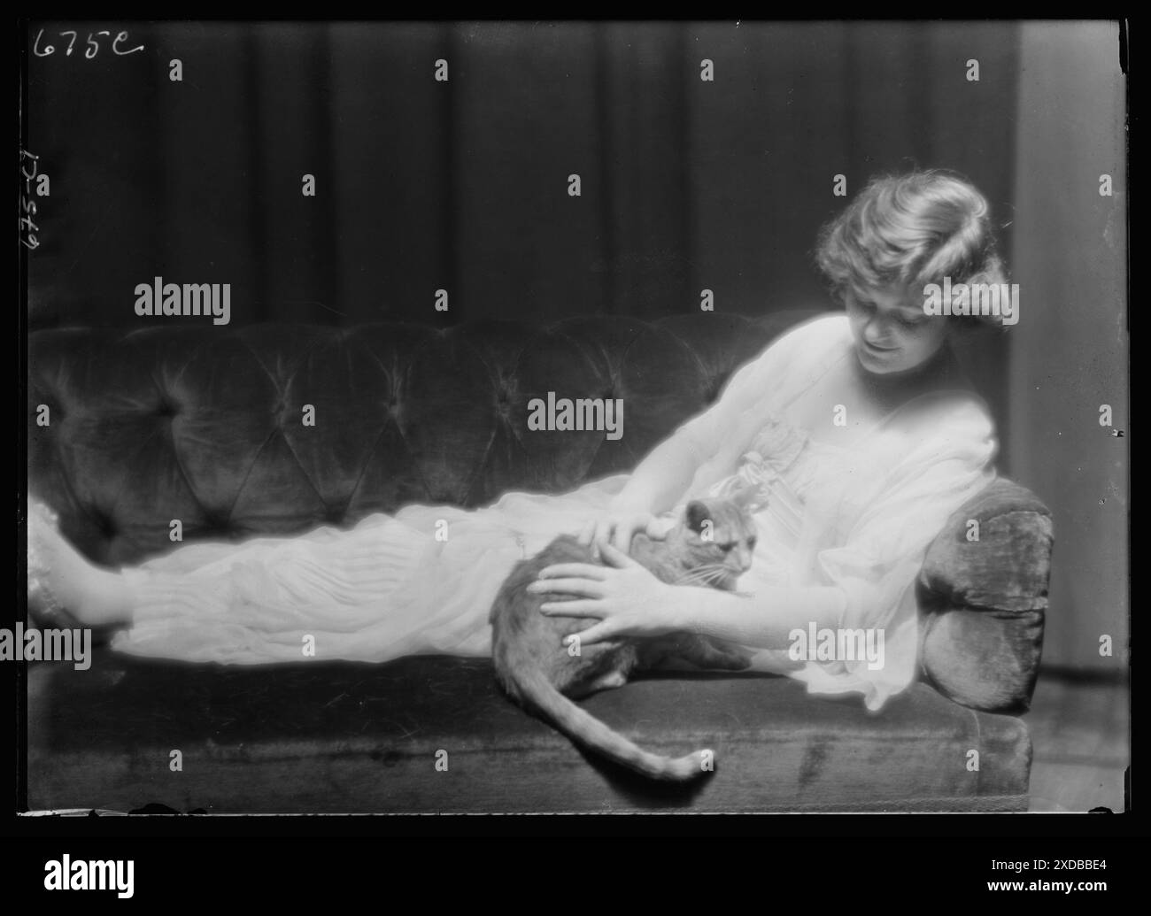 Murdock, Ann, Miss, with Buzzer the cat, portrait photograph. Genthe ...