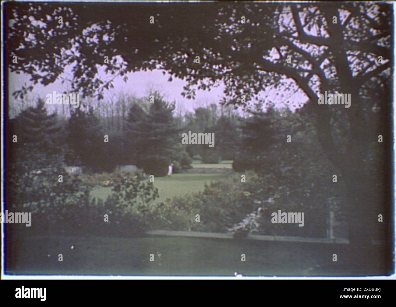 Grounds of the Myron C. Taylor property, Locust Valley, Long Island ...