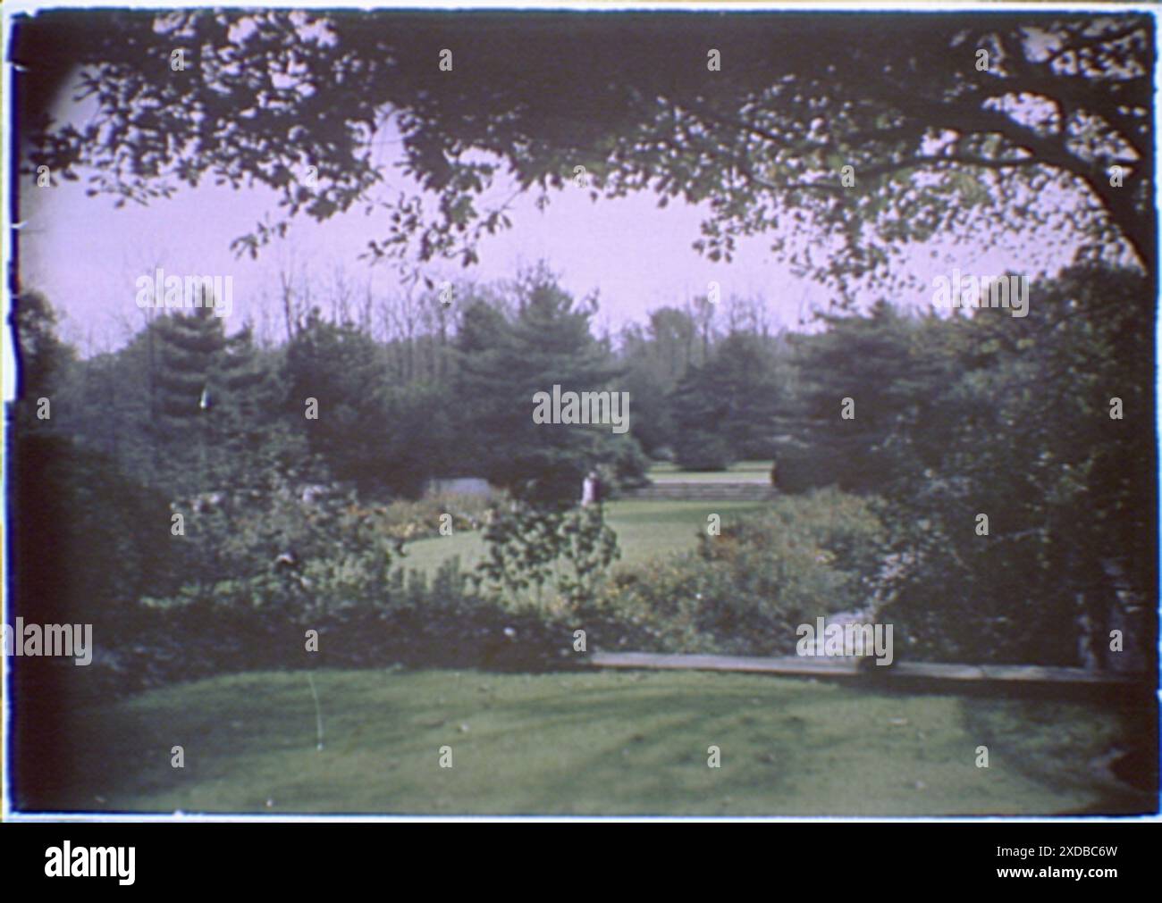 Grounds of the Myron C. Taylor property, Locust Valley, Long Island ...