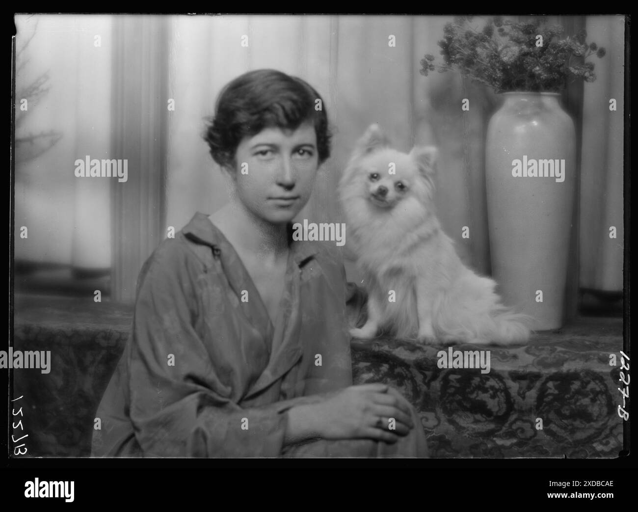 Stimson, Henry B., Mrs., with dog, portrait photograph. Genthe ...