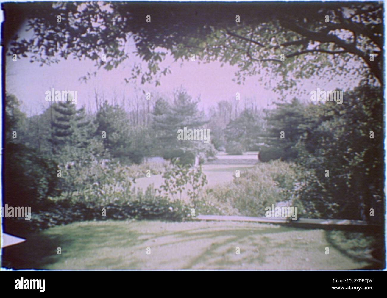 Grounds of the Myron C. Taylor property, Locust Valley, Long Island ...