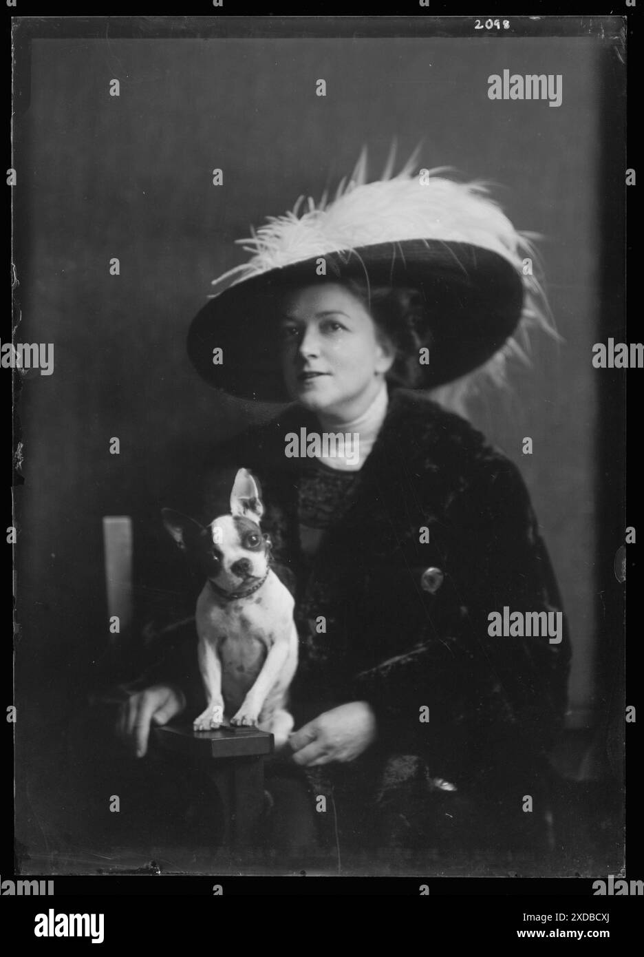 Brooks, Anita, Miss, with dog, portrait photograph. Genthe photograph ...