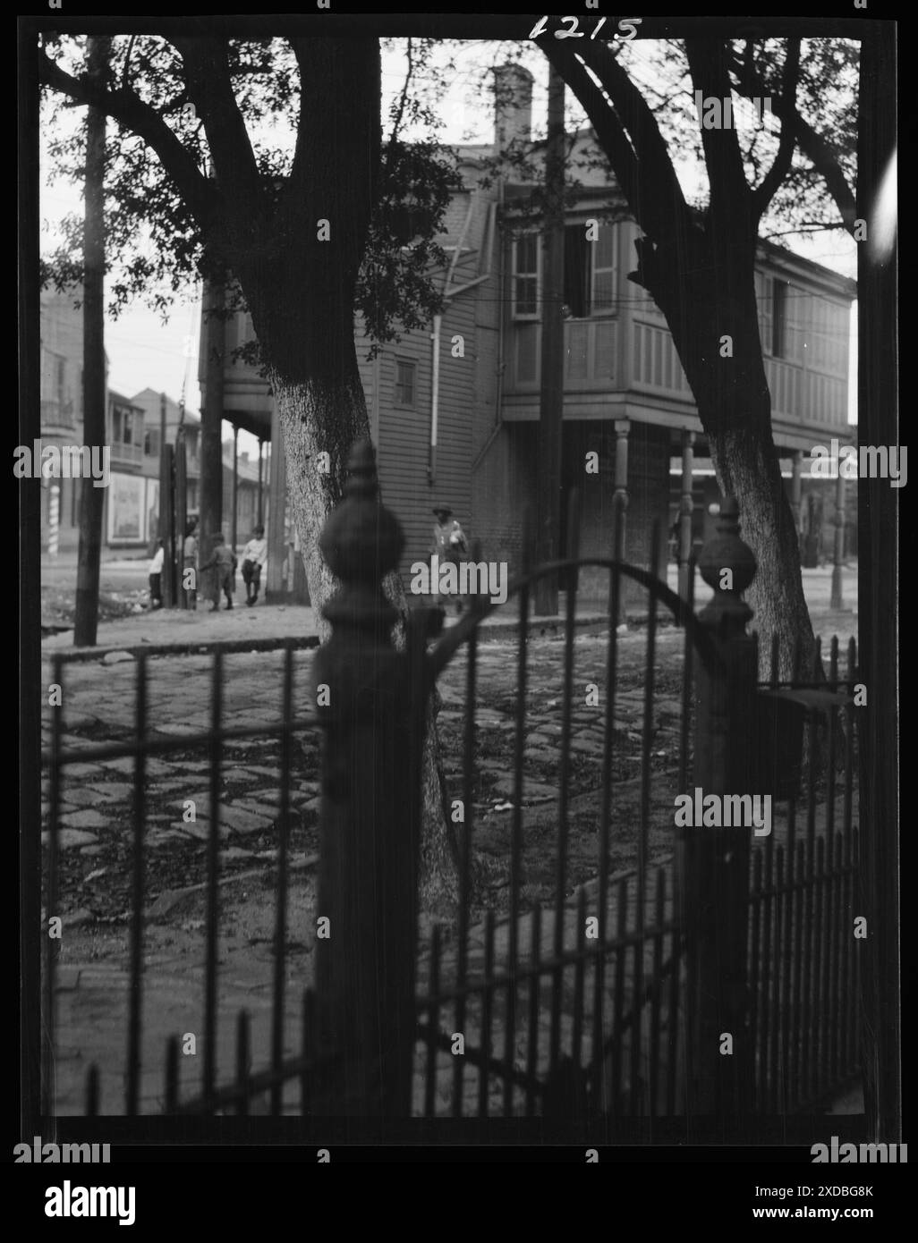 Triangular Bar, Magazine Street, New Orleans. Genthe photograph ...