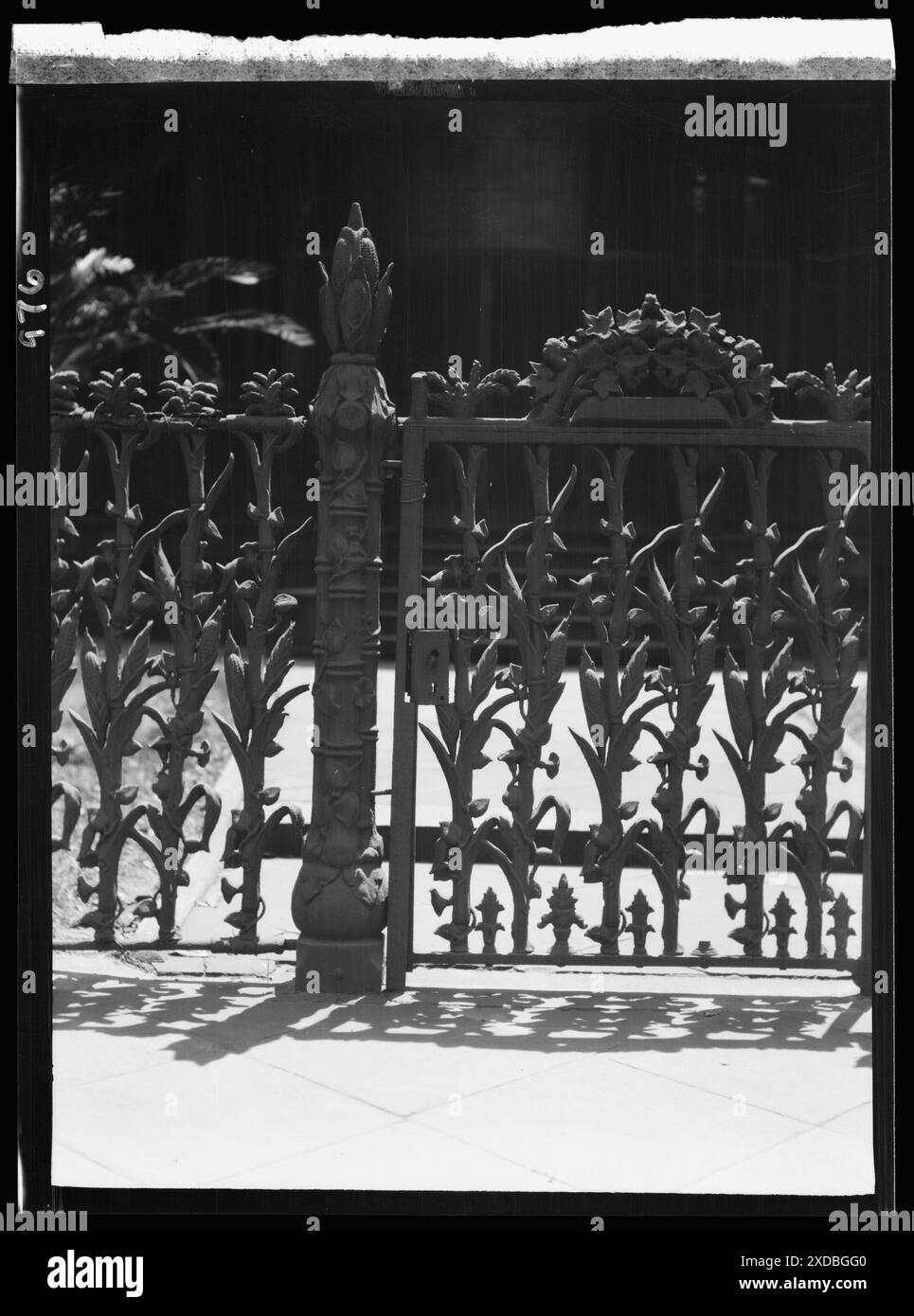 Cornstalk wrought iron fence, 1448 4th Street, New Orleans. Genthe ...