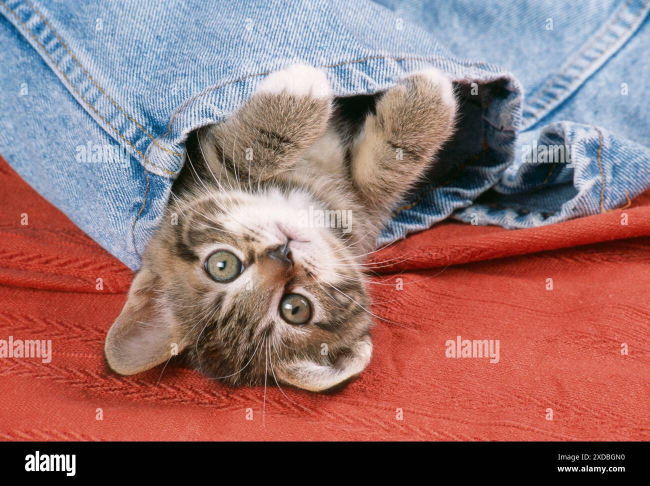 Lying on back hi-res stock photography and images - Alamy