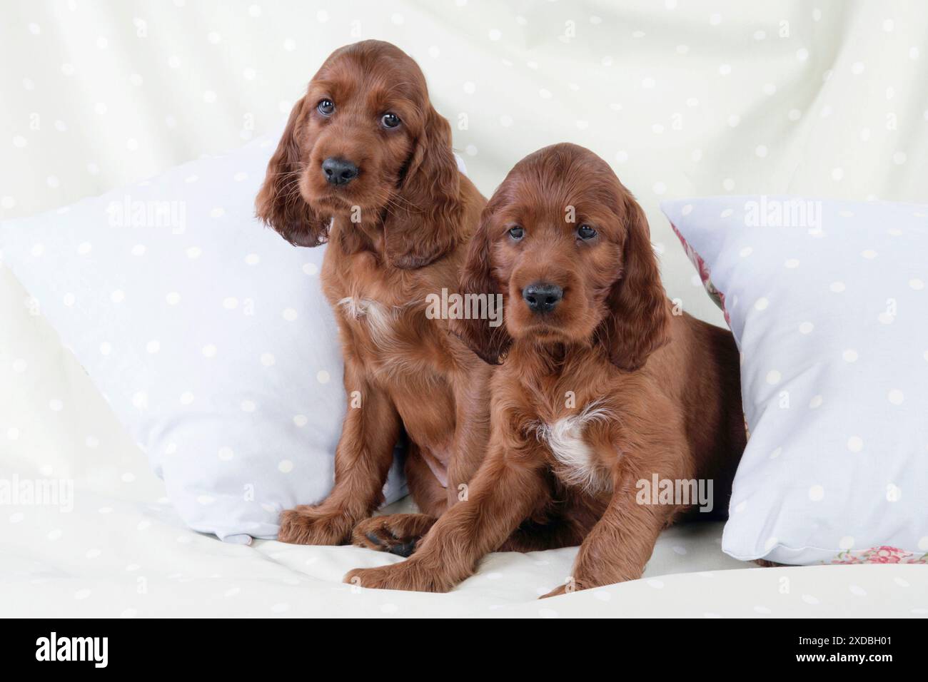Sitting down inside hi-res stock photography and images - Alamy