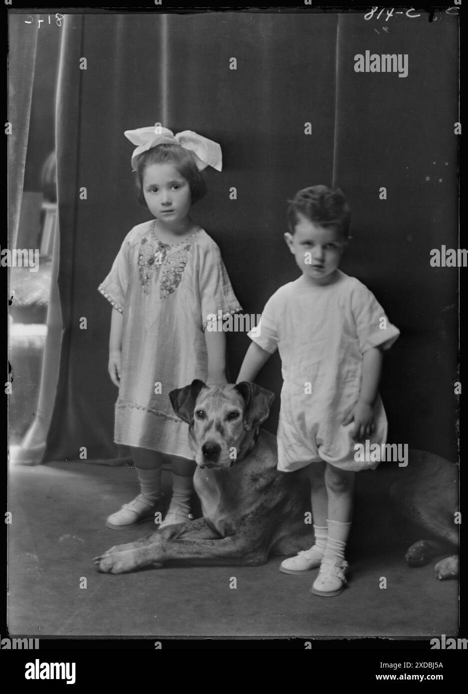 Bates, Blanche, Miss (Mrs. George Creel), children of, with dog ...