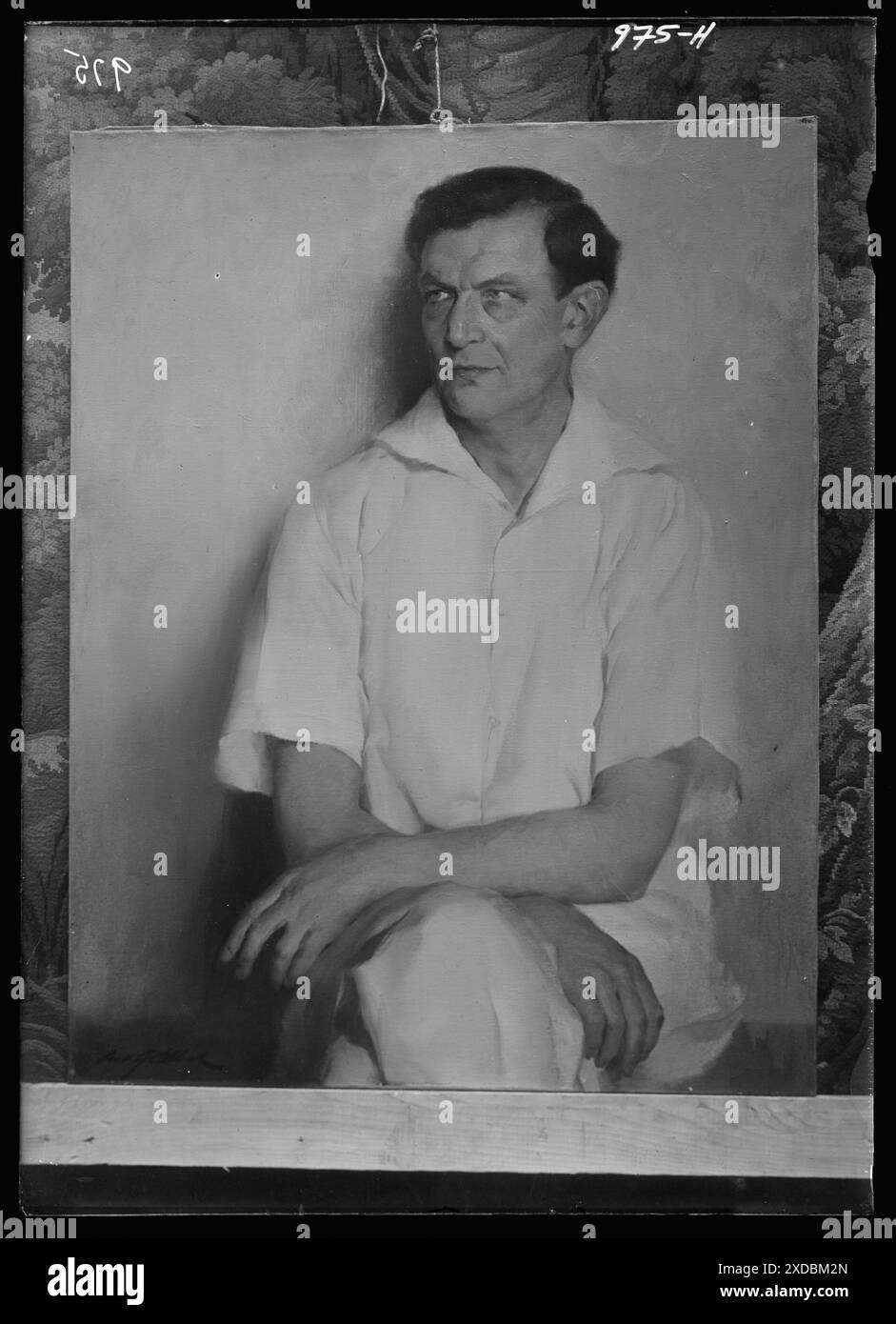 Muir, Dr., portrait painting. Genthe photograph collection Stock Photo ...