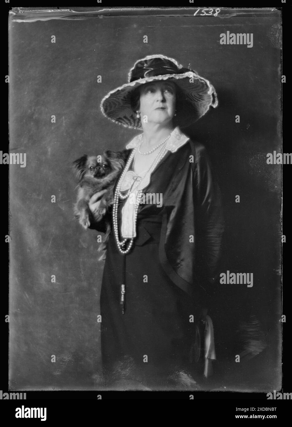 Duff-Gordon, Lady, with dog, portrait photograph. Genthe photograph ...