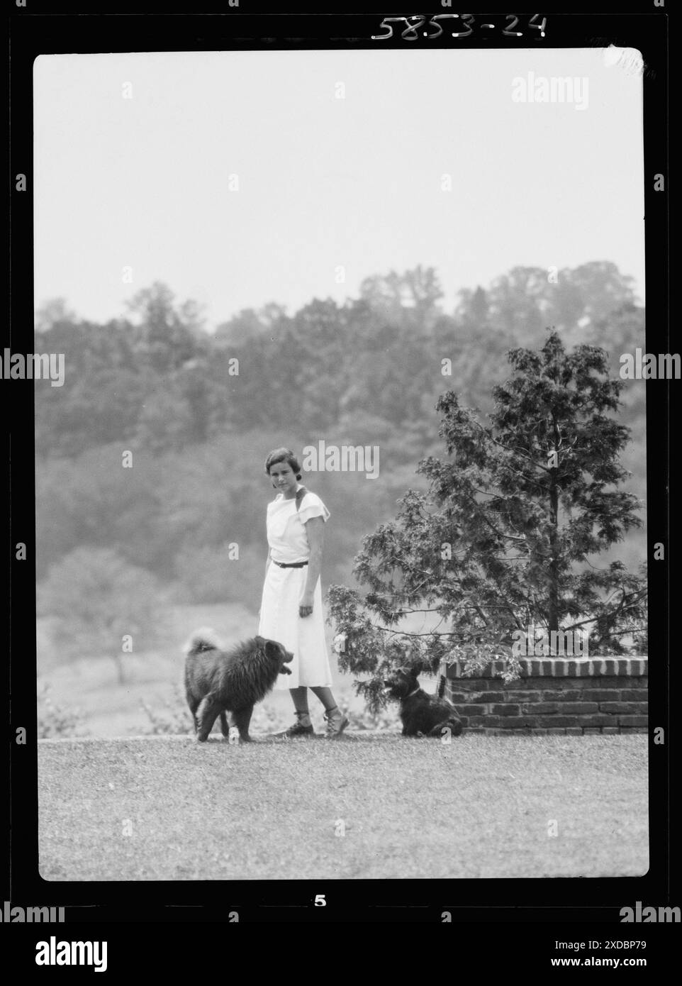 Brady, Victoria, Miss, with dogs, standing outdoors. Genthe photograph ...