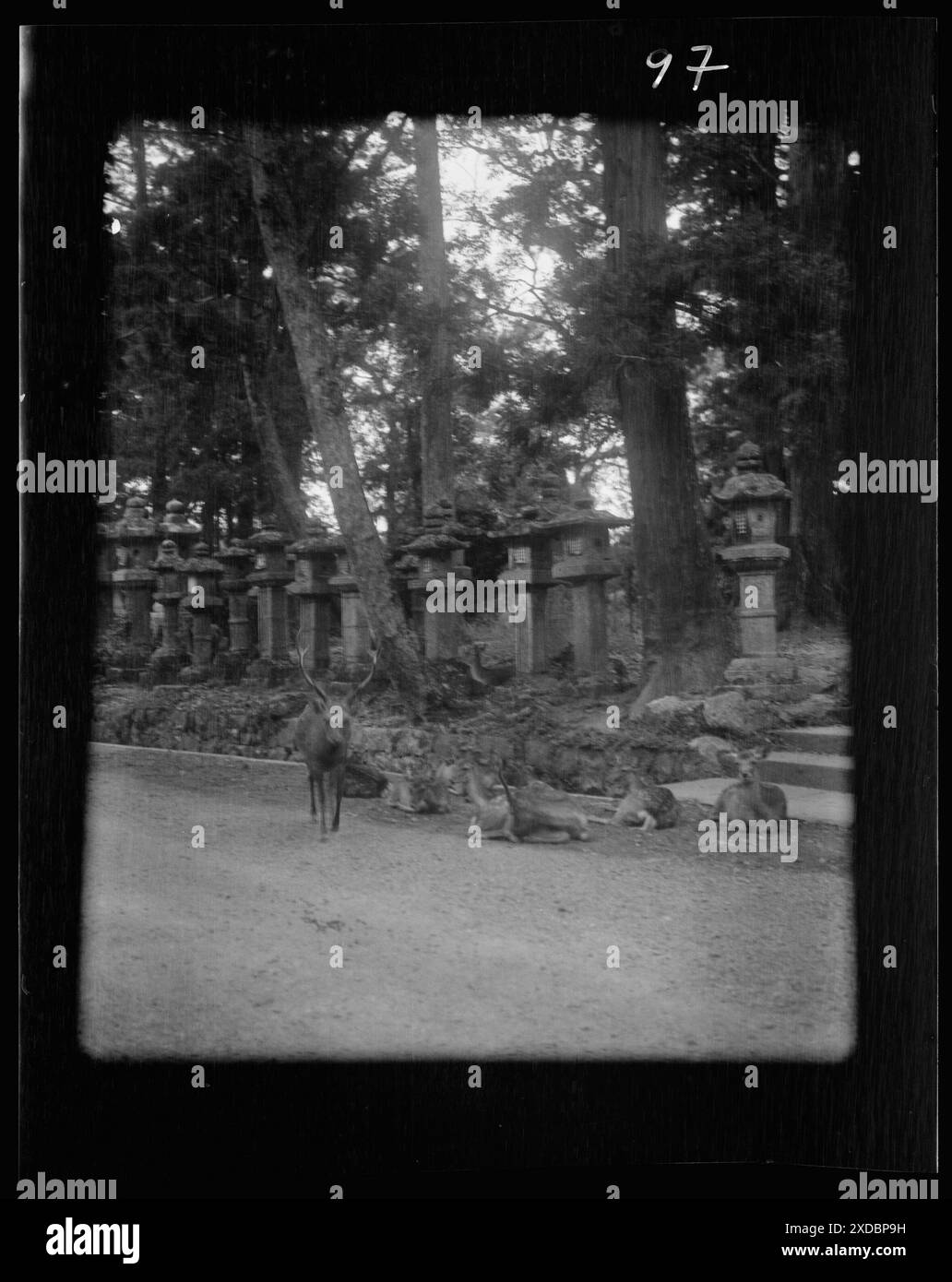 Travel views of Japan and Korea. Genthe photograph collection Stock ...