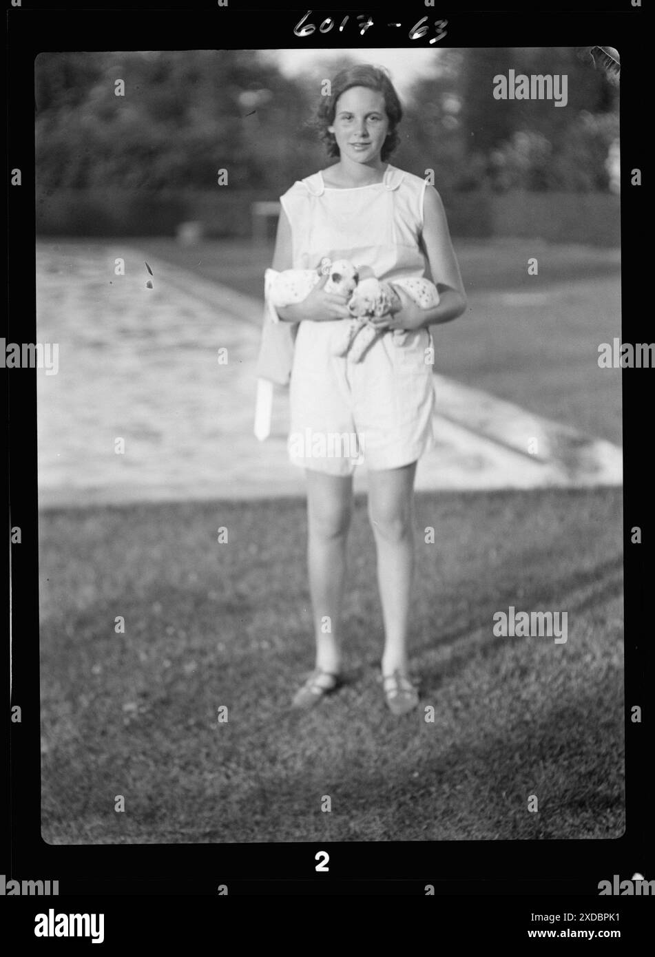 Rossbach, Miss, holding puppies, standing outdoors. Genthe photograph ...
