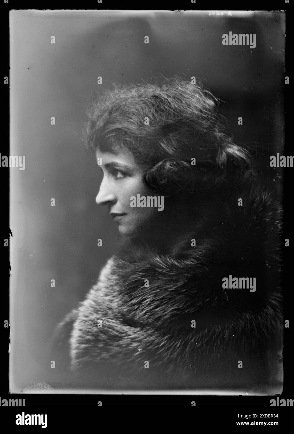 Spaeth, K.L., Mrs., portrait photograph. Genthe photograph collection ...