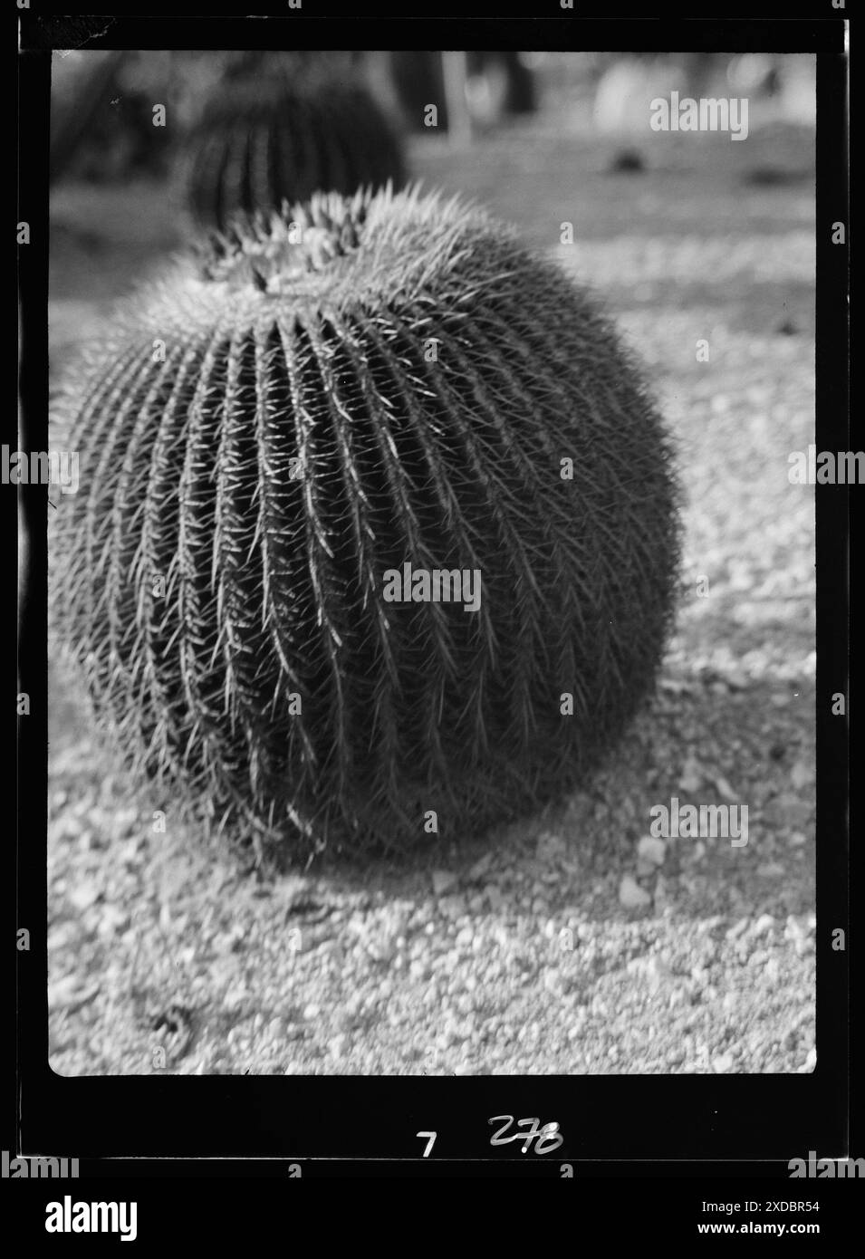 Travel views of the American Southwest. Genthe photograph collection ...