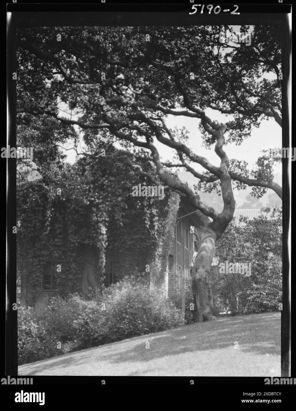 Academic photography collection Black and White Stock Photos & Images ...