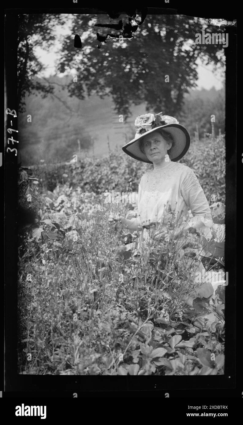 Tarbell, Ida, Miss, in her garden. Genthe photograph collection Stock ...