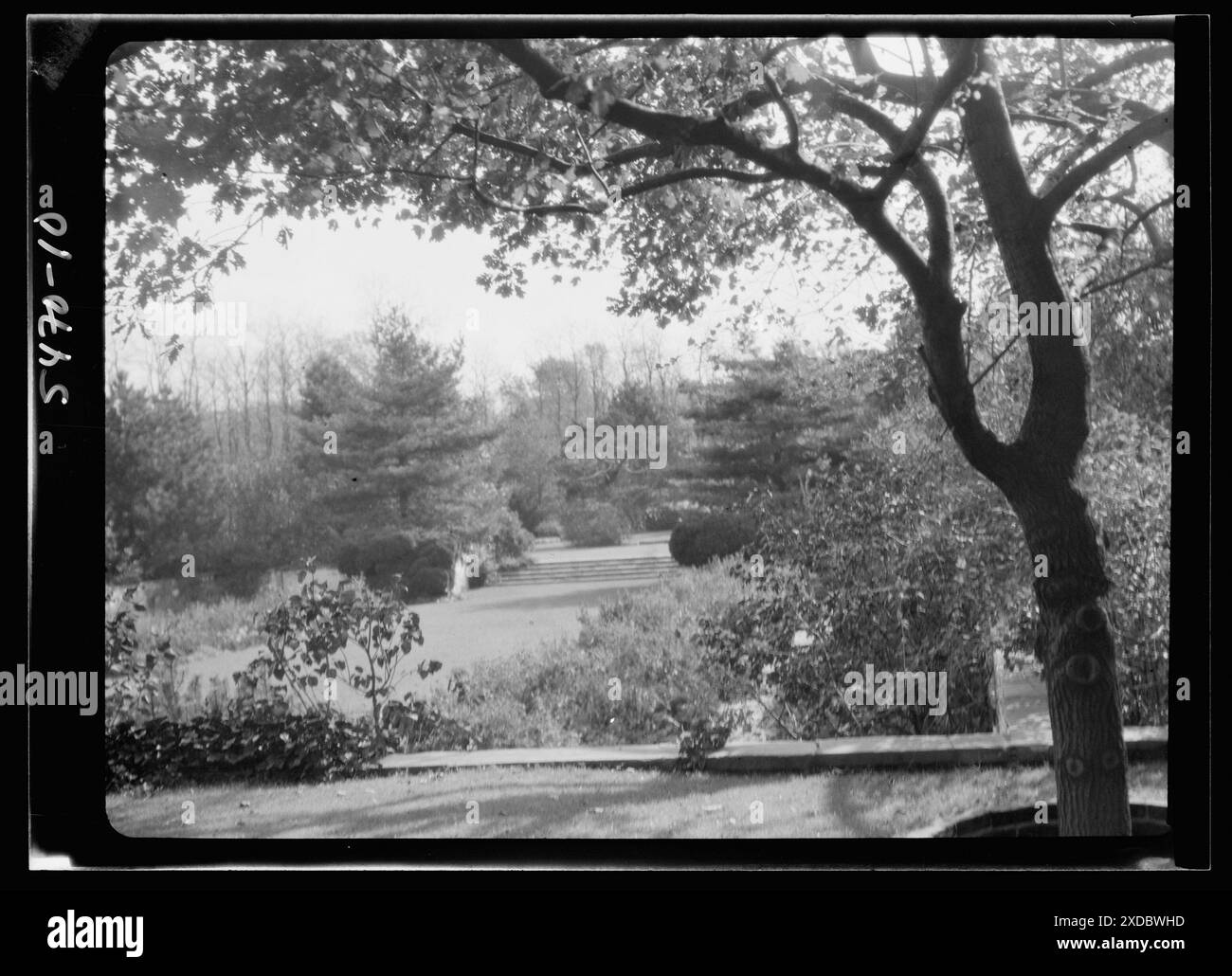 Taylor, Myron C., Mr., residence and grounds, Locust Valley, Long ...