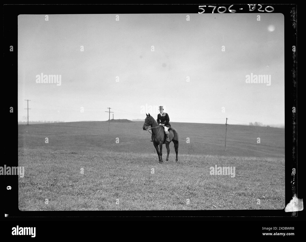 Hunt collection Black and White Stock Photos & Images - Alamy