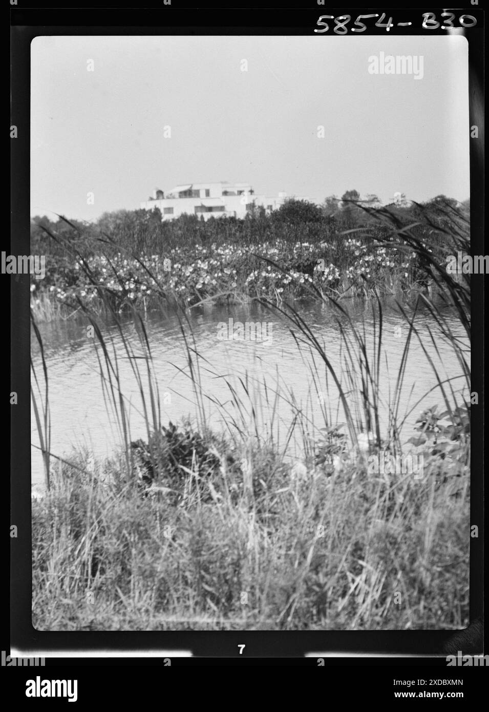 House and grounds of "The Shallows," property of Lucien Hamilton Tyng ...