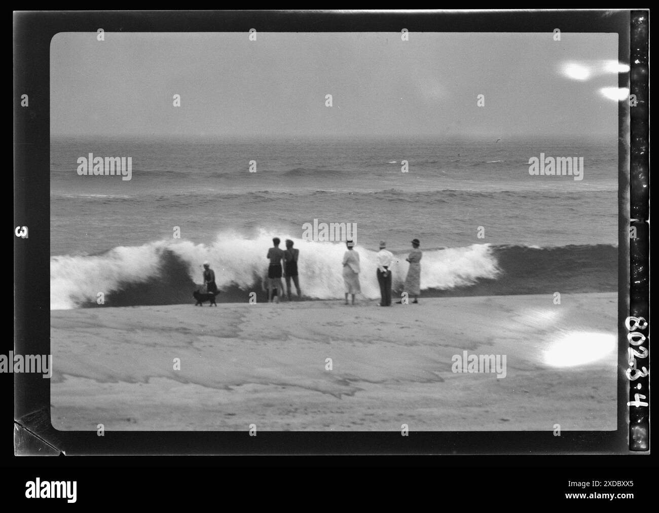 Unidentified group of people, possibly members of the Jewett family ...