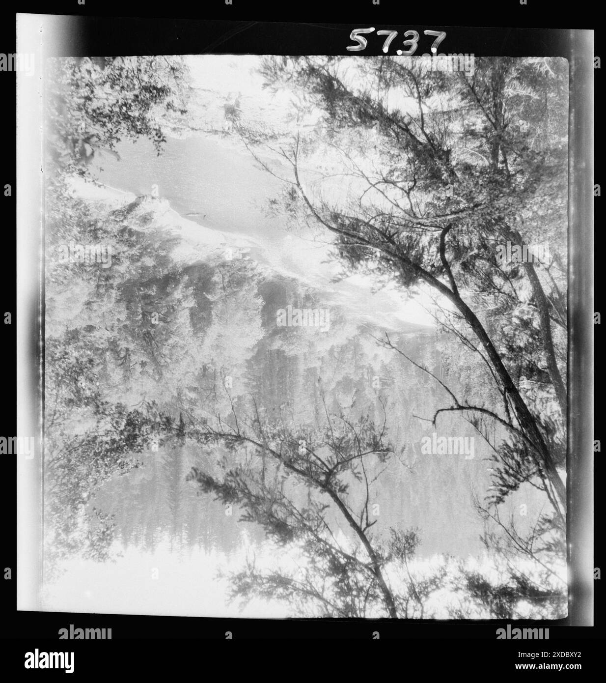 Wooded river landscape Black and White Stock Photos & Images - Alamy