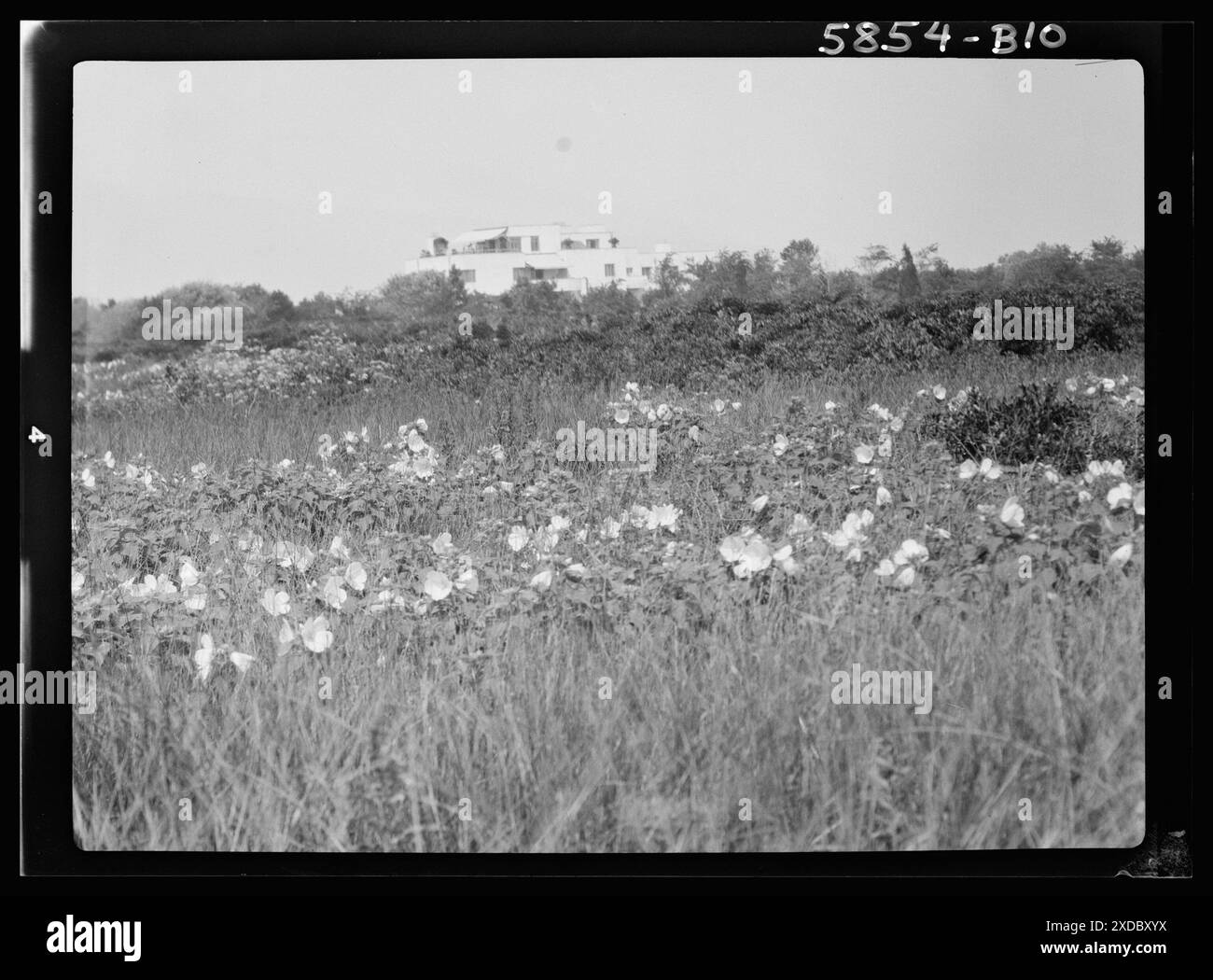 House and grounds of "The Shallows," property of Lucien Hamilton Tyng ...