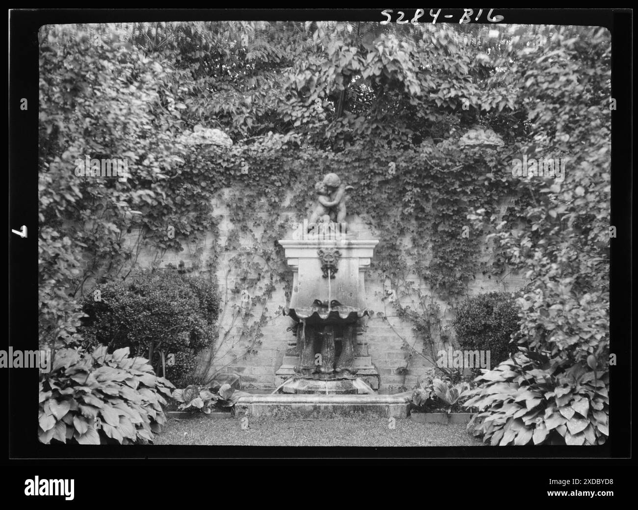 Monochrome garden landscape photograph Black and White Stock Photos ...