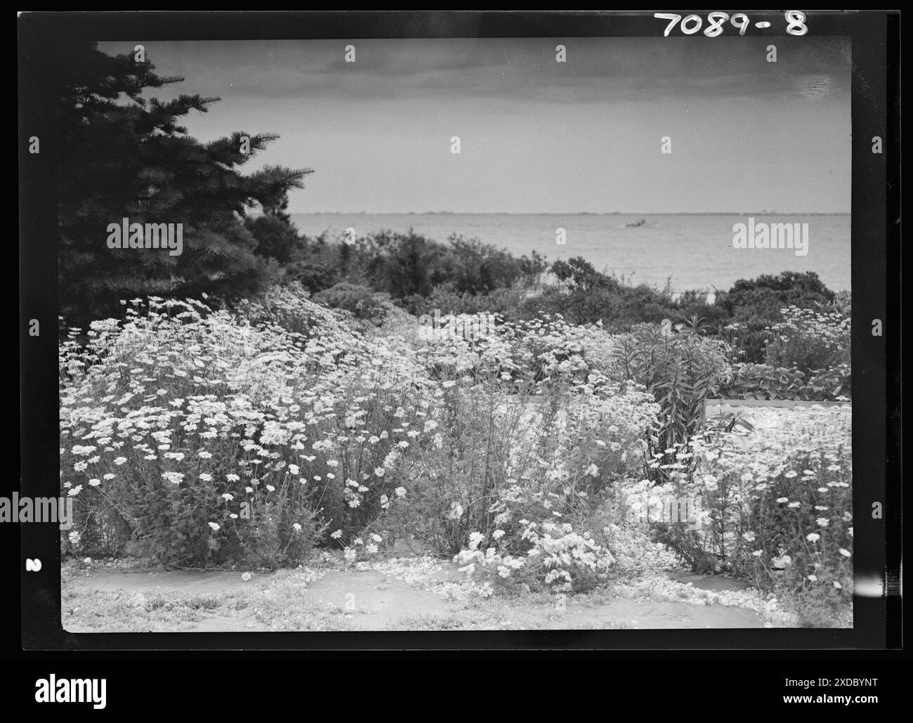 Monochrome garden landscape photograph Black and White Stock Photos ...