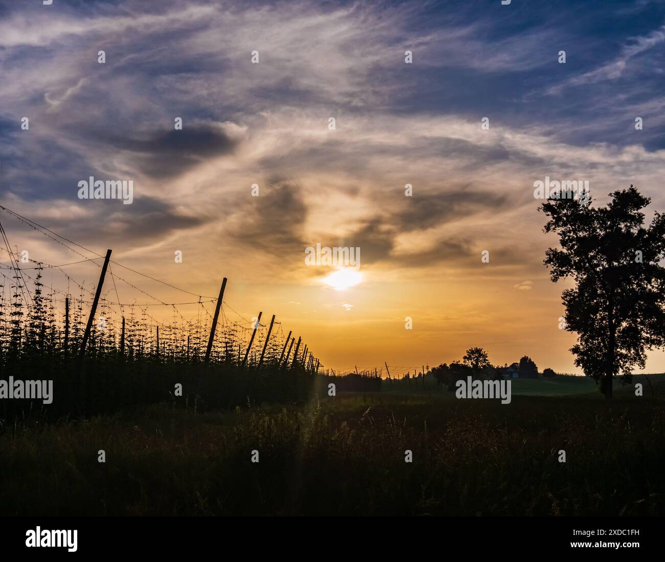 Sahara dust haze hi-res stock photography and images - Alamy