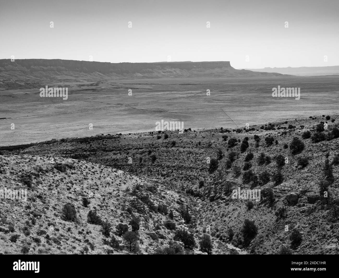 Beauty from the north Black and White Stock Photos & Images - Alamy