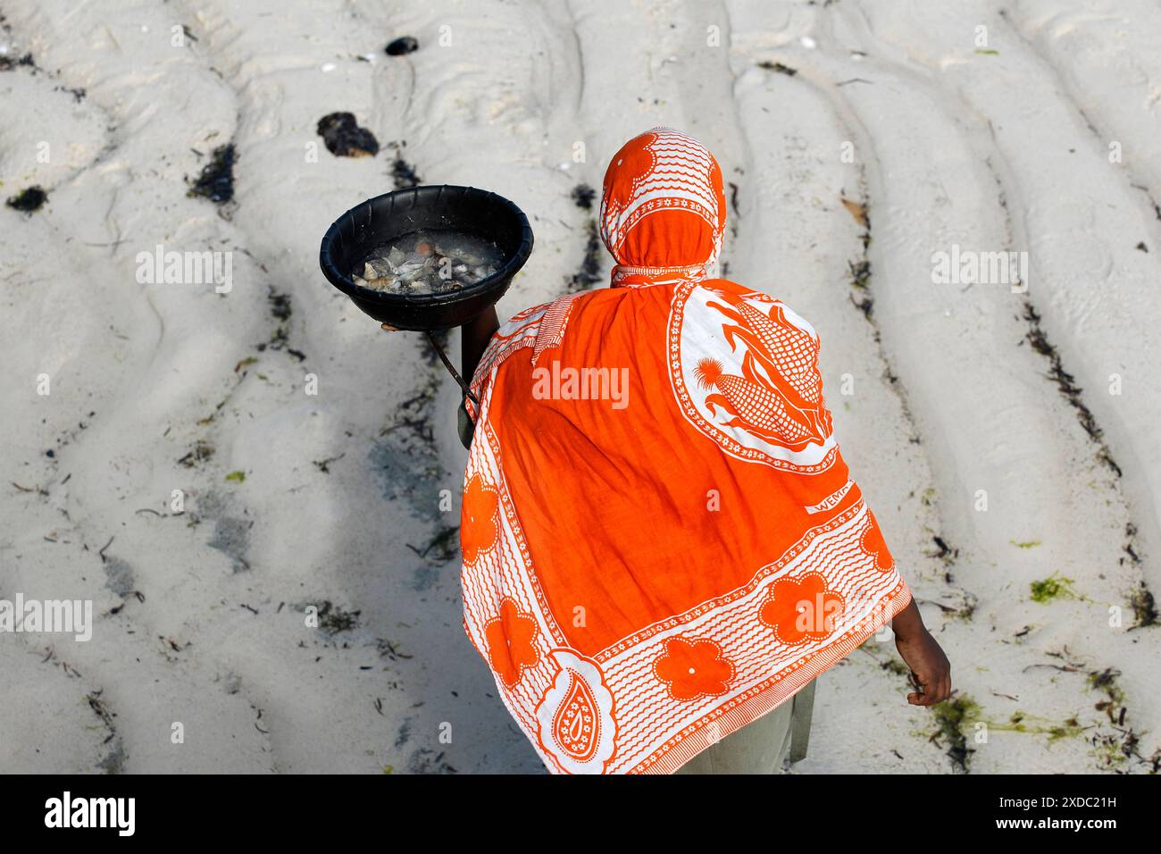 Africa Tanzania Zanzibar - Low tide at Kizimkazi beach Fisherwoman ...